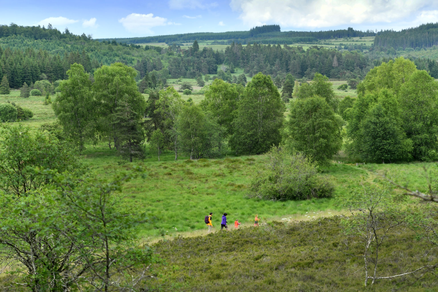 Parc naturel régional de Millevaches en Limousin - Destination Parcs