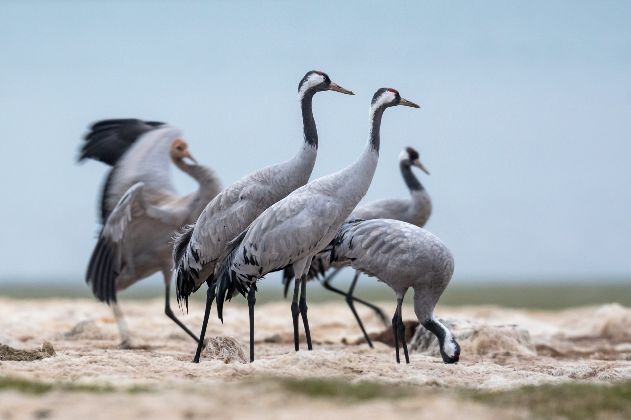 Parc naturel régional de la Forêt d'Orient, au cœur de la Champagne ...